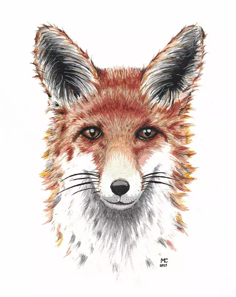 Cords-Illustration - Grafik, Illustration und Visualisierung